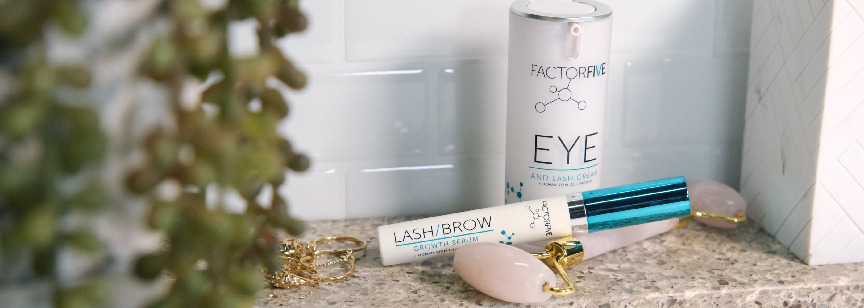 FACTORFIVE Skincare – The Power of Stem Cells for Skin